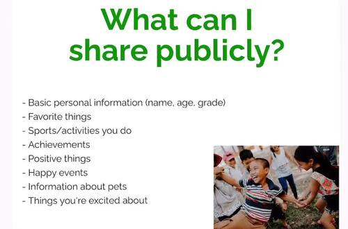 Public vs. Private Information BOOM CARDS™ by Bri-SLP | TPT