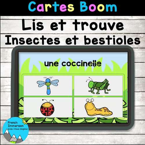Insectes et bestioles lecture French insects and bugs vocabulary reading
