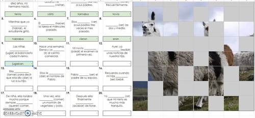 Preterite or Imperfect Mystery Picture Multiple Choice Version | TPT