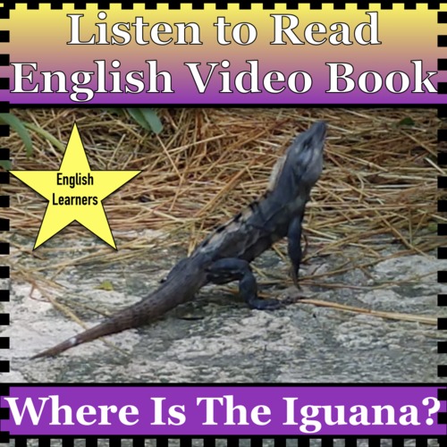 Where is the iguana? a learning to read English video ebook | TPT