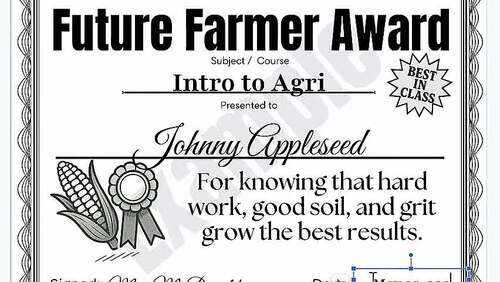 End Of Year Awards Complete Bundle | Elective Course | TPT