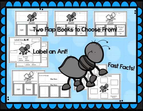 Ants Flapbooks for preschool, kindergarten, first & second ELL Spring