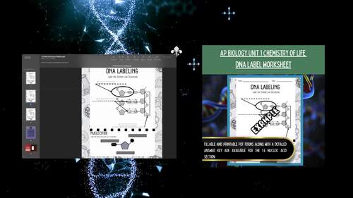 AP Biology DNA Label Digital Worksheet Unit 1 Chemistry of Life Nucleic ...