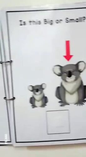 Big and Small Adapted Activities by Tiny Thinkers By Hamna Million