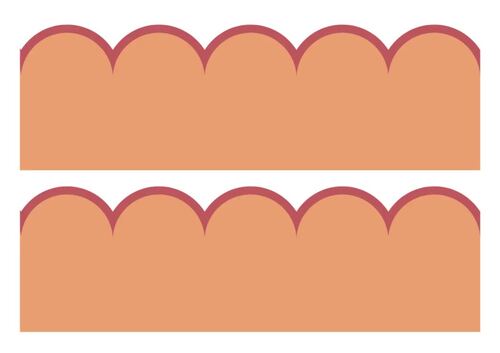 Colorful Rainbow Scallop Border Set – Classroom & Bulletin Board Decor