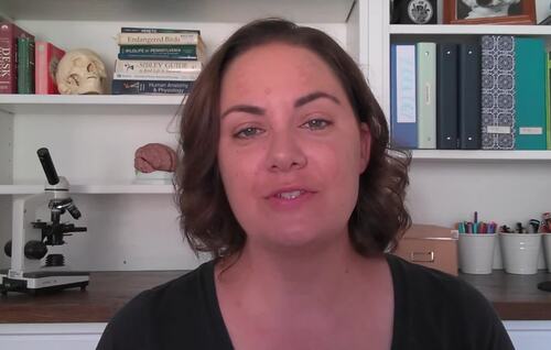 Biology Curriculum- Full Year of Lessons, Labs, Activities, Review ...