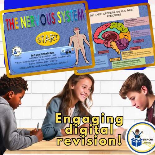 Nervous system activity Neurons and the brain worksheet middle school ...