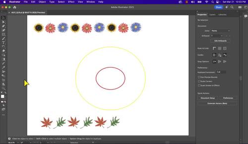 ADOBE ILLUSTRATOR 2025 CERTIFICATION TEST PRACTICE | STUDY GUIDE