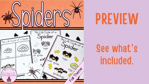 Spiders by Angie's Schoolhouse | TPT
