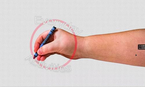 Stock Photo 3rd Grader Holding Blue Crayon With Right Hand | TPT