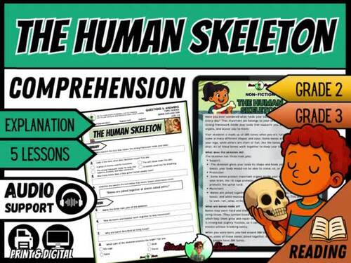 The Human Skeleton | Reading Comprehension | Grade 2/3 by Bitesize ...