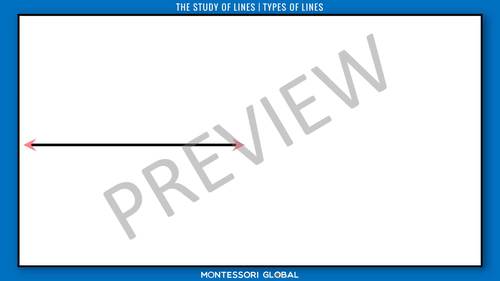 Montessori Geometry | Types of Lines | PowerPoint | Boom Cards ...