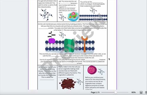 Cell Membrane and Other Organelles Comic Strip by Haley Dietz | TPT