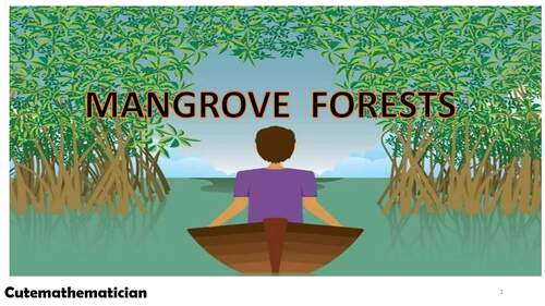 Mangrove Forests Powerpoint Presentation (PPT)/Lesson/20 Slides | TPT