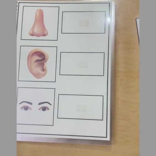 Labeling Body Parts Activity Worksheet for Prek Science | Body Parts ...