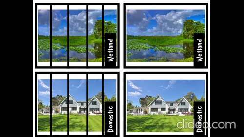 Special Education Science Task Box Activity Bundle (Life Skills Activities)