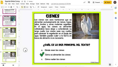 SPANISH Reading Comprehension - Birds by MM Bilingual | TPT