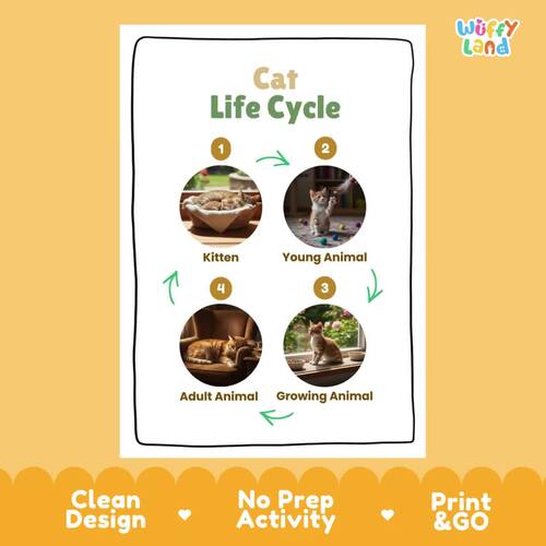 Cat Life Cycle Chart & Cut and Paste Activity | Mammal Biology Worksheet