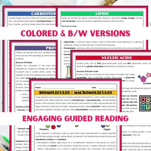 Biomolecules | Macromolecules Reading Comprehension Passage & Question ...
