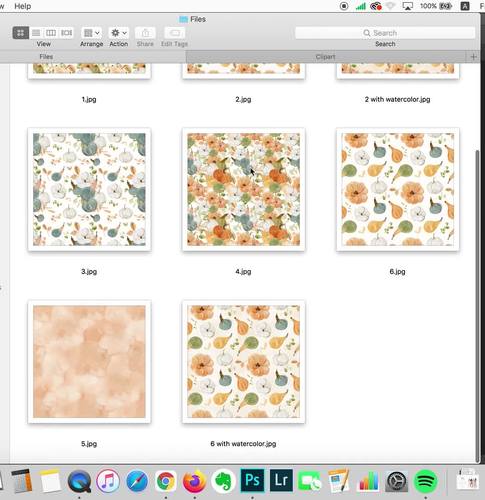 Pumpkin Harvest Fall Floral Digital Papers for Classroom Decor Handouts ...