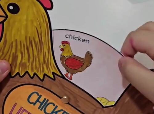 Chicken Life Cycle Coloring Activity, Wheel and Foldable, Chicken Paper ...