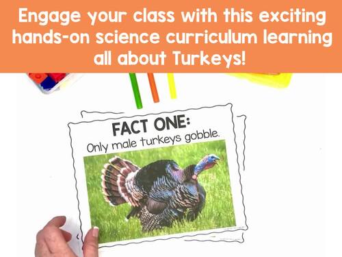 Turkeys: Life Cycle, Parts of a Turkey, Thanksgiving Activities ...