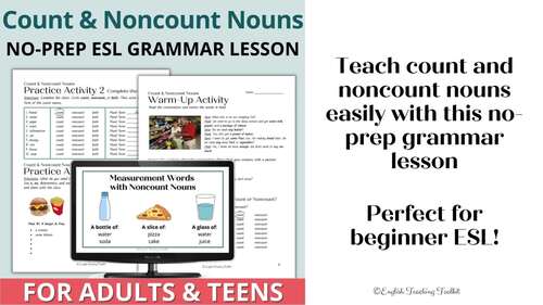 Beginner Adult ESL Count Grammar Worksheets and Lesson Plan Count ...