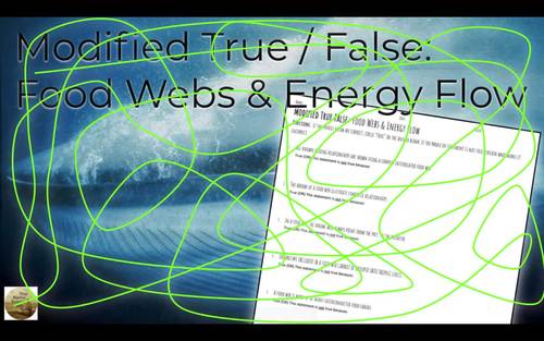 Modified True False Food Webs and Energy Transfer Worksheet with Keys ...