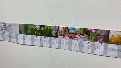 Linear calendar 2025 aligned with Montessori in english. by YUDO MONTESSORI