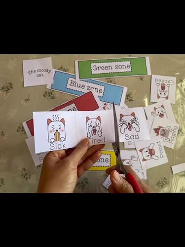 Zone of regulation activity back to the GreenZone,worksheet,Poster,self ...