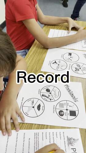 Plant and Animal Adaptations and Characteristics Interactive Creature ...