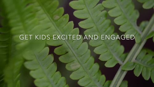 Math in Nature - Math Enrichment Curriculum by Math Geek Mama | TPT