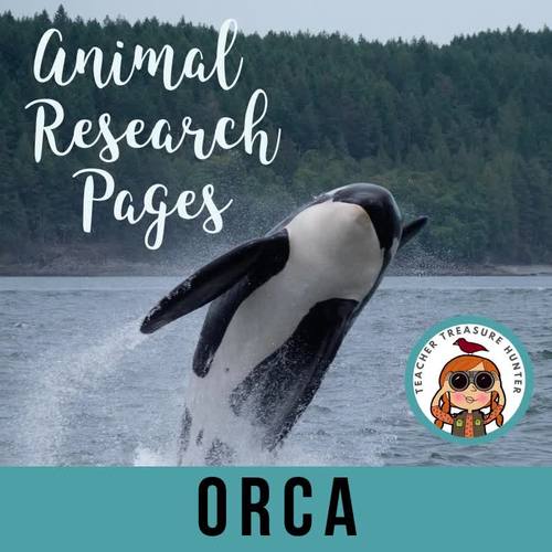Orca Research Page Arctic Animal Reports for 1st 2nd 3rd grade ...