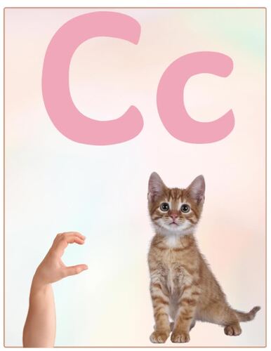 ASL PASTEL ENGLISH ALPHABET CARDS WITH SHORT & LONG VOWELS | TPT