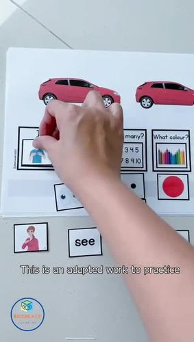 Adapted Book (CAR) How Many? Color? What? Real Picture For Special ...