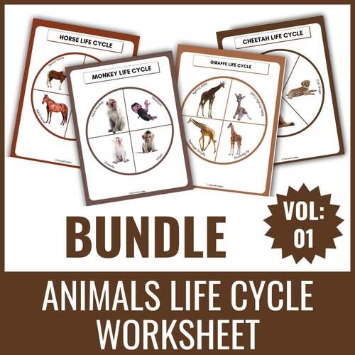 Animals Life Cycle Worksheet Bundle - Lion Horse Cheetah Giraffe & Monkey