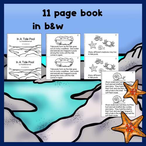 Tide Pools Non-fiction Book Reading Comprehension Worksheet & Animal ...