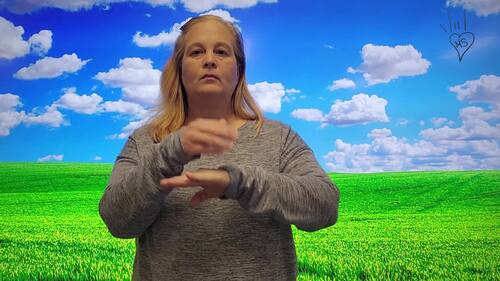ASL Unit 2 Video 12 by Melissa Sexton | TPT