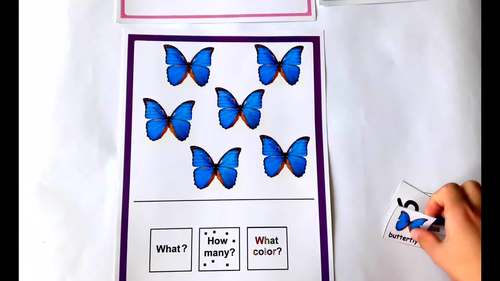 Activities for Non-verbal Students What? How Many? What Color ...