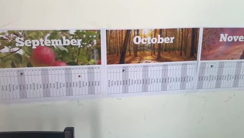 Montessori Linear Calendar (+Middle East version) | Real Photos 2025