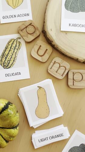Pumpkin & Squash Flash Cards – Montessori 3-Part Nomenclature Cards ...