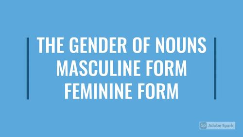 French - The gender of nouns - Masculine /feminine - review worksheet