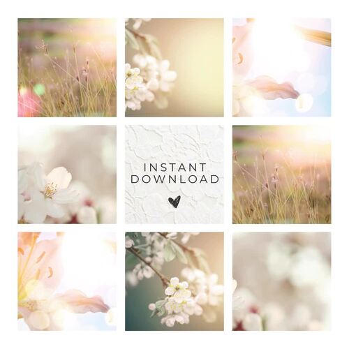 Printable To-Do List | Weekly & Daily Planner with Meal & Water Tracker