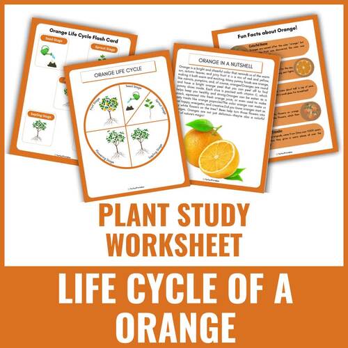 Life Cycle of a Orange Tree Worksheet | Plants Unit Study With Fun Facts!