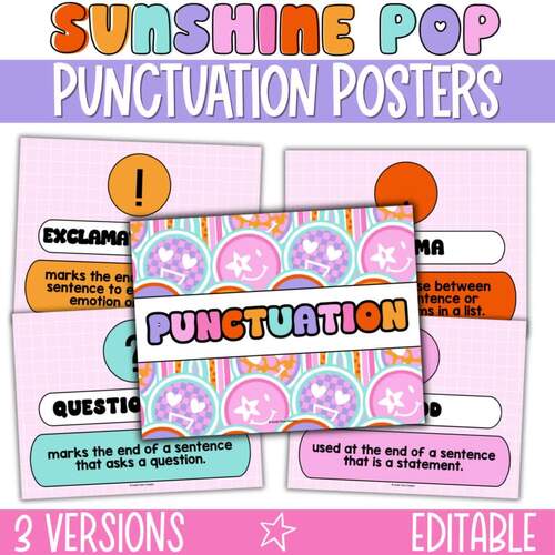 Editable Punctuation Posters, English Posters, Retro Groovy Classroom Decor