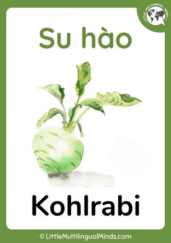 Vietnamese Resources - Bilingual Vegetables Flashcards Posters Pack