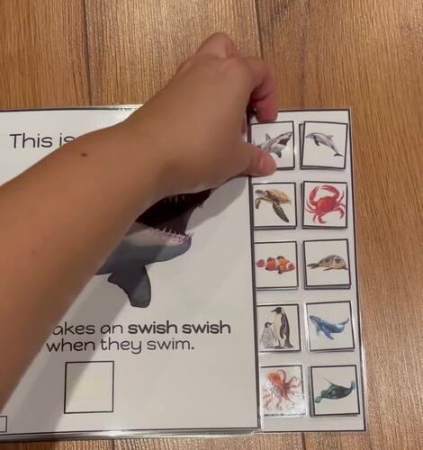 SEA ANIMALS Adapted Book: ANIMAL FLASH CARDS - Ocean Animals Matching Game