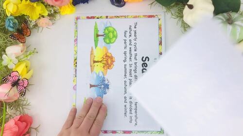 2nd Grade Seasons Diversified Nonfiction Reading Lesson RI.2.3 Connections