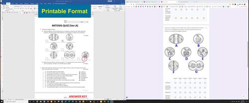 Mitosis Quiz - Two Versions | Editable, Printable PDFs & Google Drive ...