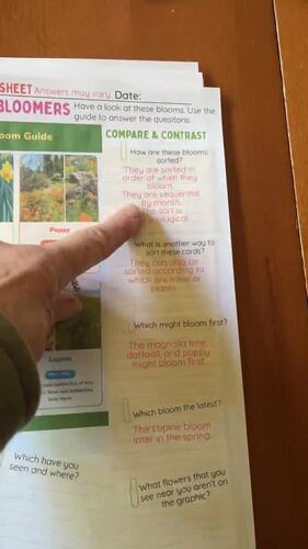 Spring Flowers Vocabulary | Phonics, Syllables & Literacy Packet | Dyslexia